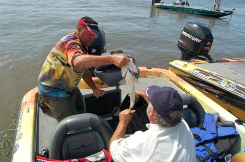 Lee Bailey Fishing Factors™ - Lee Bailey Jr Bassmaster Elite Series Pro